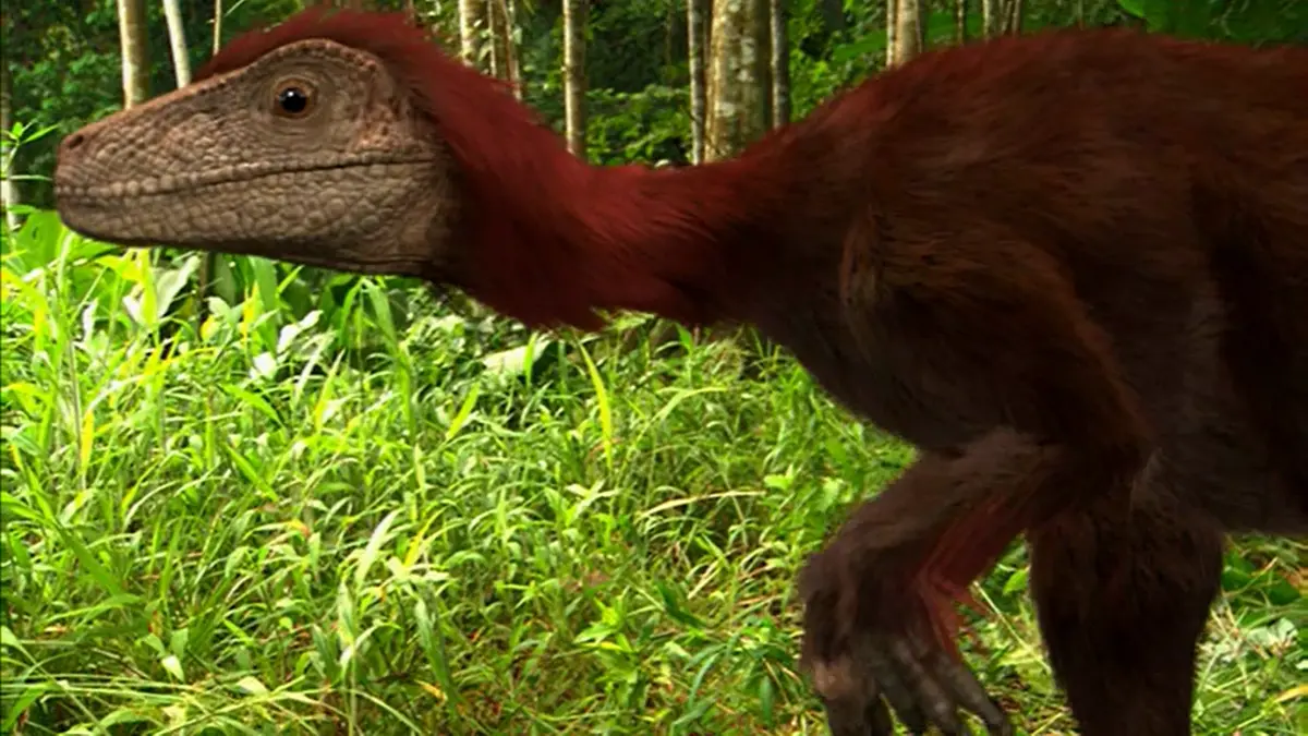 Pyroraptor | Prehistoric Earth: A Natural History Wiki | Fandom