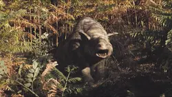 Embolotherium Skeleton