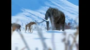 American Mastodon | Prehistoric Earth: A Natural History Wiki | Fandom