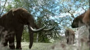 American Mastodon | Prehistoric Earth: A Natural History Wiki | Fandom