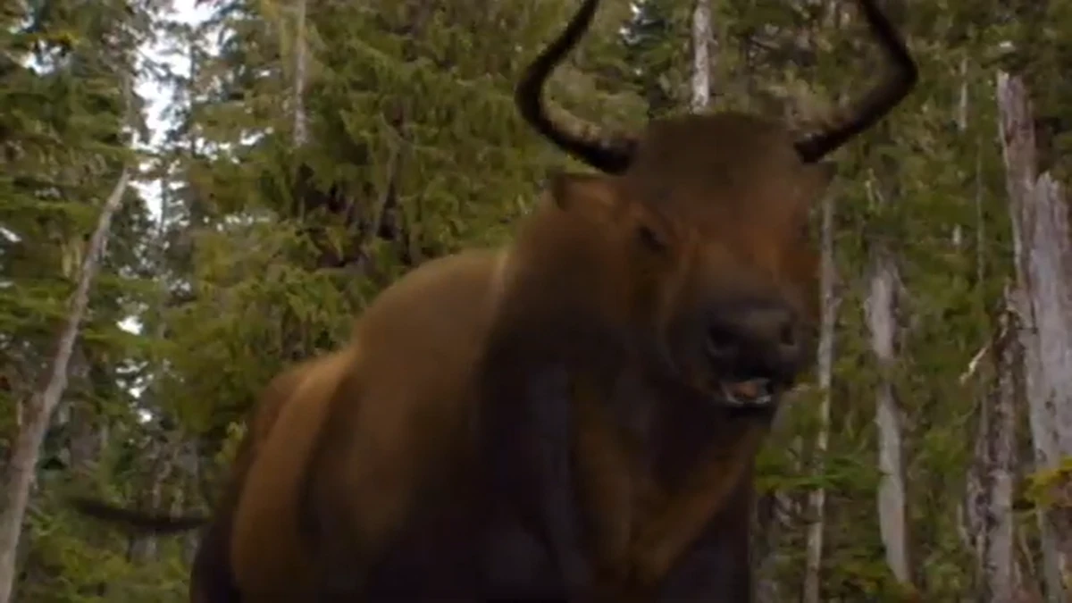 Aurochs | Prehistoric Earth: A Natural History Wiki | Fandom