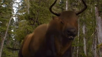 Aurochs | Prehistoric Earth: A Natural History Wiki | Fandom