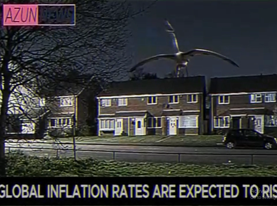 Inflation | Prehistoric Emergence Wiki | Fandom