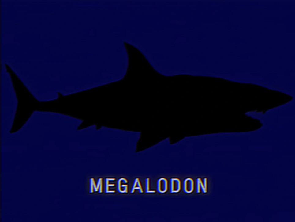Megalodon | Prehistoric Emergence Wiki | Fandom