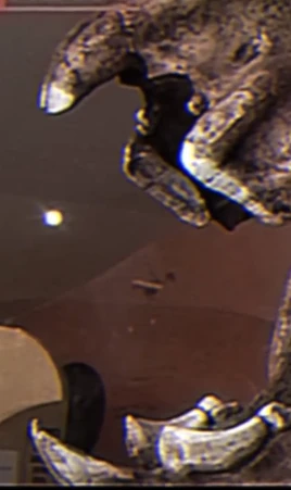 Thylacoleo Teeth | Prehistoric Emergence Wiki | Fandom