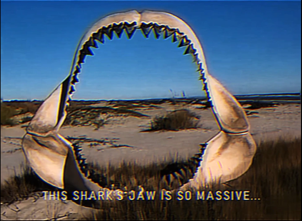 Megalodon Jaw | Prehistoric Emergence Wiki | Fandom