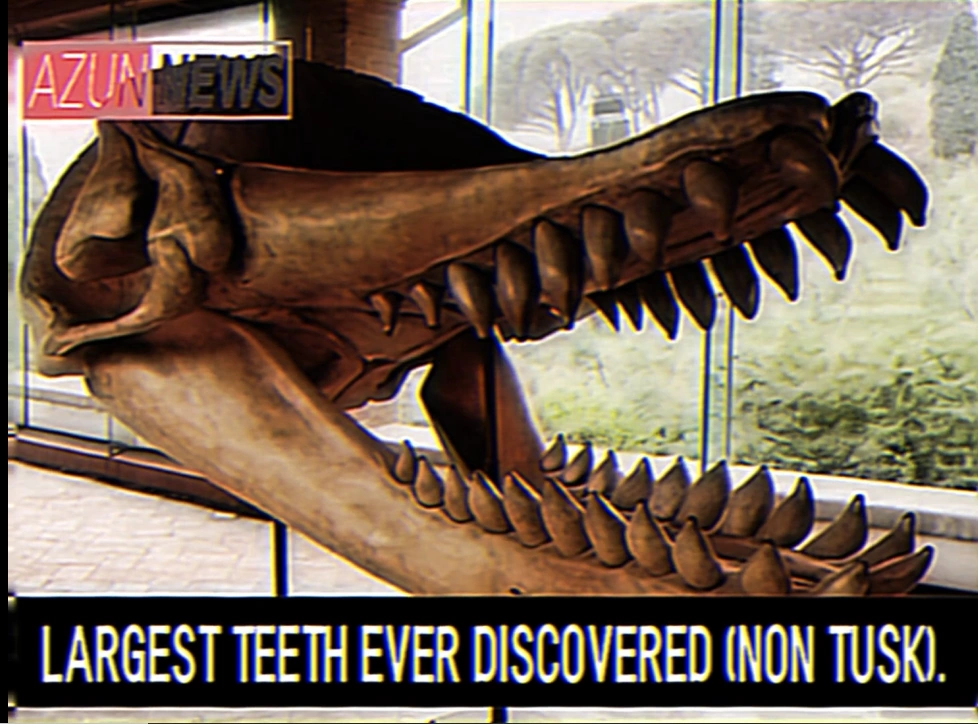 Livyatan Skull | Prehistoric Emergence Wiki | Fandom