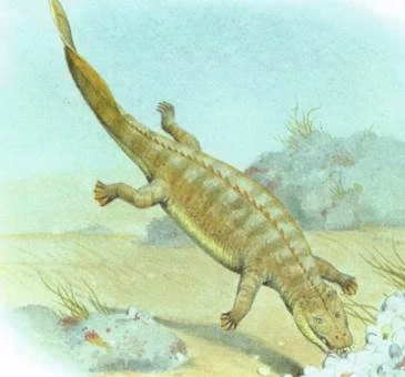 Placodus | Prehistoric Fauna Wiki | Fandom