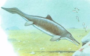 Mixosaurus | Prehistoric Fauna Wiki | Fandom