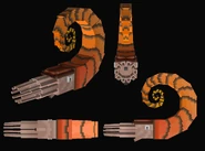 Aphetoceras | Prehistoric Flora Wiki | Fandom