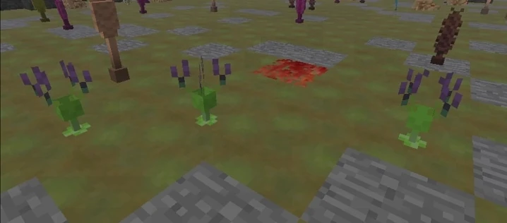 Haootia | Prehistoric Flora Wiki | Fandom