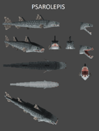 Psarolepis | Prehistoric Flora Wiki | Fandom