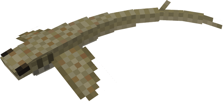 Squatinactis | Prehistoric Flora Wiki | Fandom