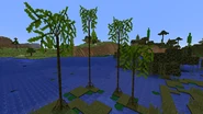 Medullosales | Prehistoric Flora Wiki | Fandom