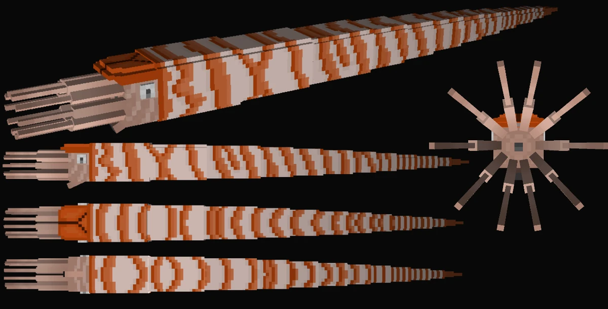 Cameroceras | Prehistoric Flora Wiki | Fandom