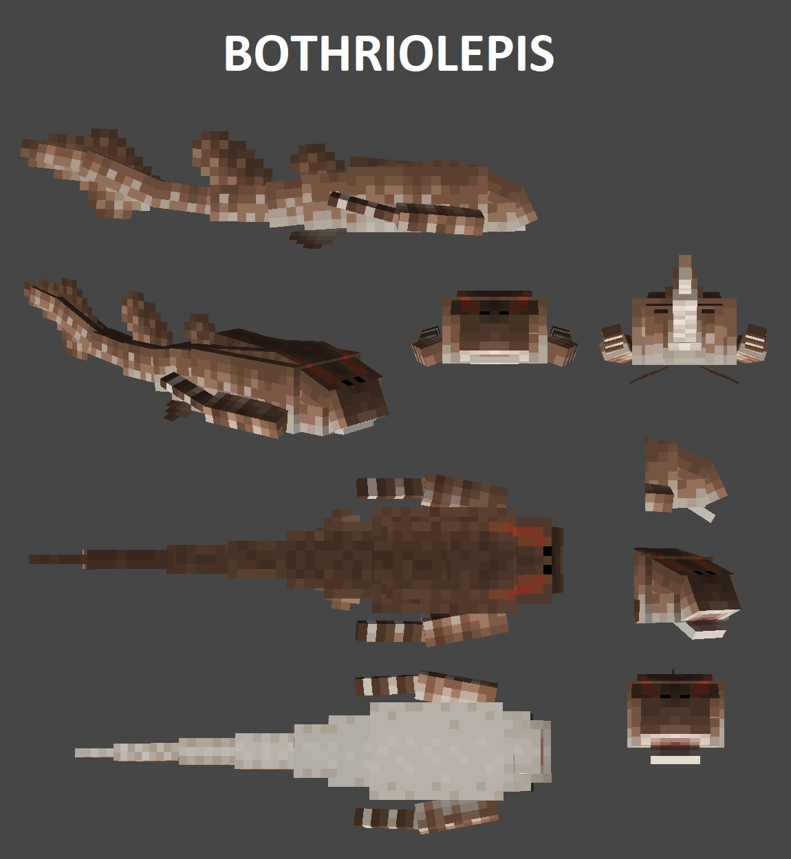 Bothriolepis | Prehistoric Flora Wiki | Fandom