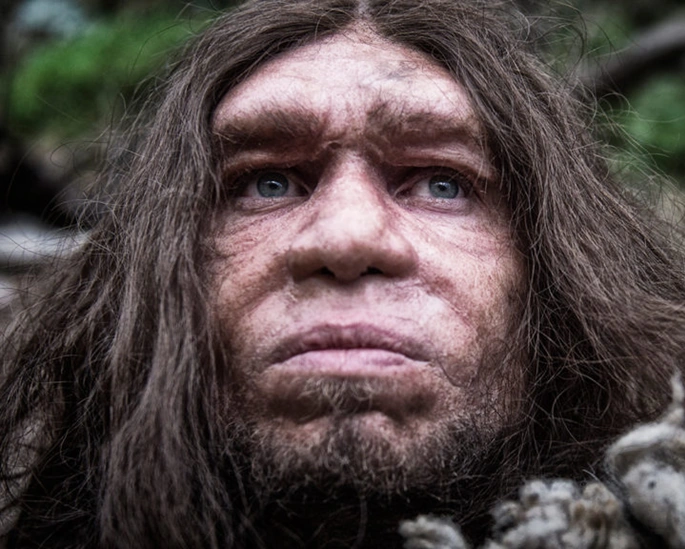 Homo neanderthalensis | Prehistoric Humans Wiki | Fandom