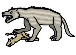 Amphicyon (Bear Dog) | Prehistoric Life Dictionary Wikia | Fandom