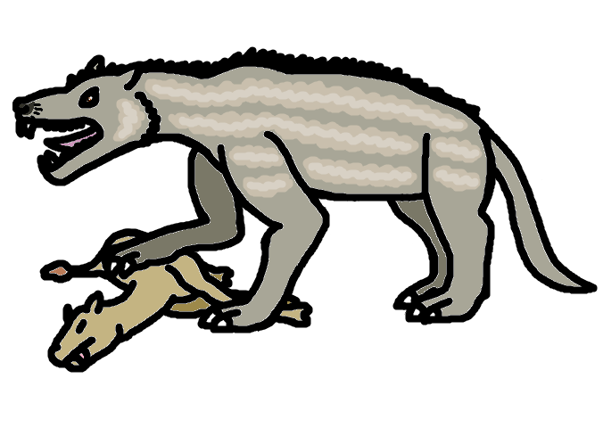 Amphicyon (Bear Dog) | Prehistoric Life Dictionary Wikia | Fandom