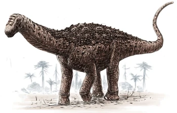 Saltasaurus | Prehistoric Life Wiki | Fandom