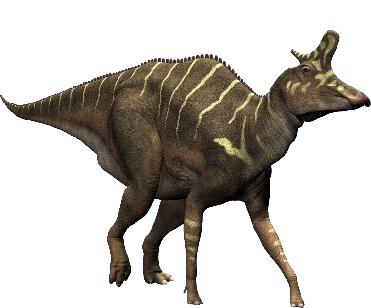 Lambeosaurus | Prehistoric Life Wiki | Fandom