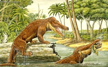 Ambulocetus | Prehistoric Life Wiki | Fandom