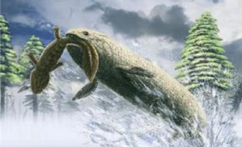 Rhizodus | Prehistoric Life Wiki | Fandom