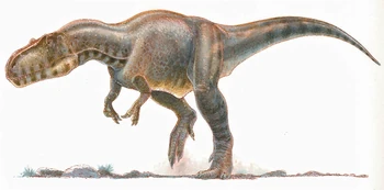 Megalosaurus | Prehistoric Life Wiki | Fandom