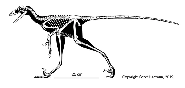 Top 10 Morrison Formation Dinosaurs | Prehistoric Life Wiki | Fandom
