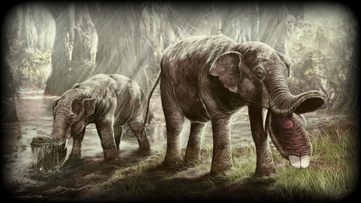 Platybelodon | Prehistoric Life Wiki | Fandom