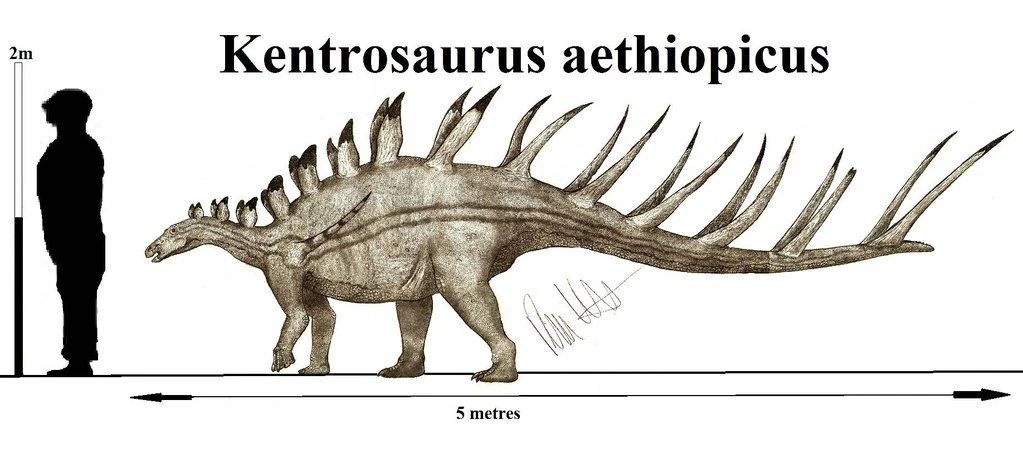 Kentrosaurus | Prehistoric Life Wiki | Fandom