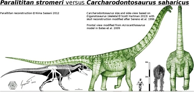 Paralatitan | Prehistoric Life Wiki | Fandom