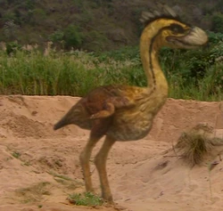 Terror bird | Prehistoric Park Wiki | Fandom