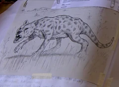 Marsupial lion | Prehistoric Park Wiki | Fandom