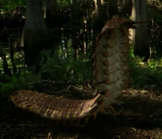 Arthropleura | Prehistoric Park Wiki | Fandom