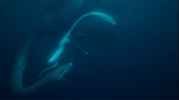 Tuarangisaurus | Prehistoric Planet Wiki | Fandom