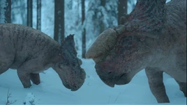 Pachyrhinosaurus | Prehistoric Planet Wiki | Fandom