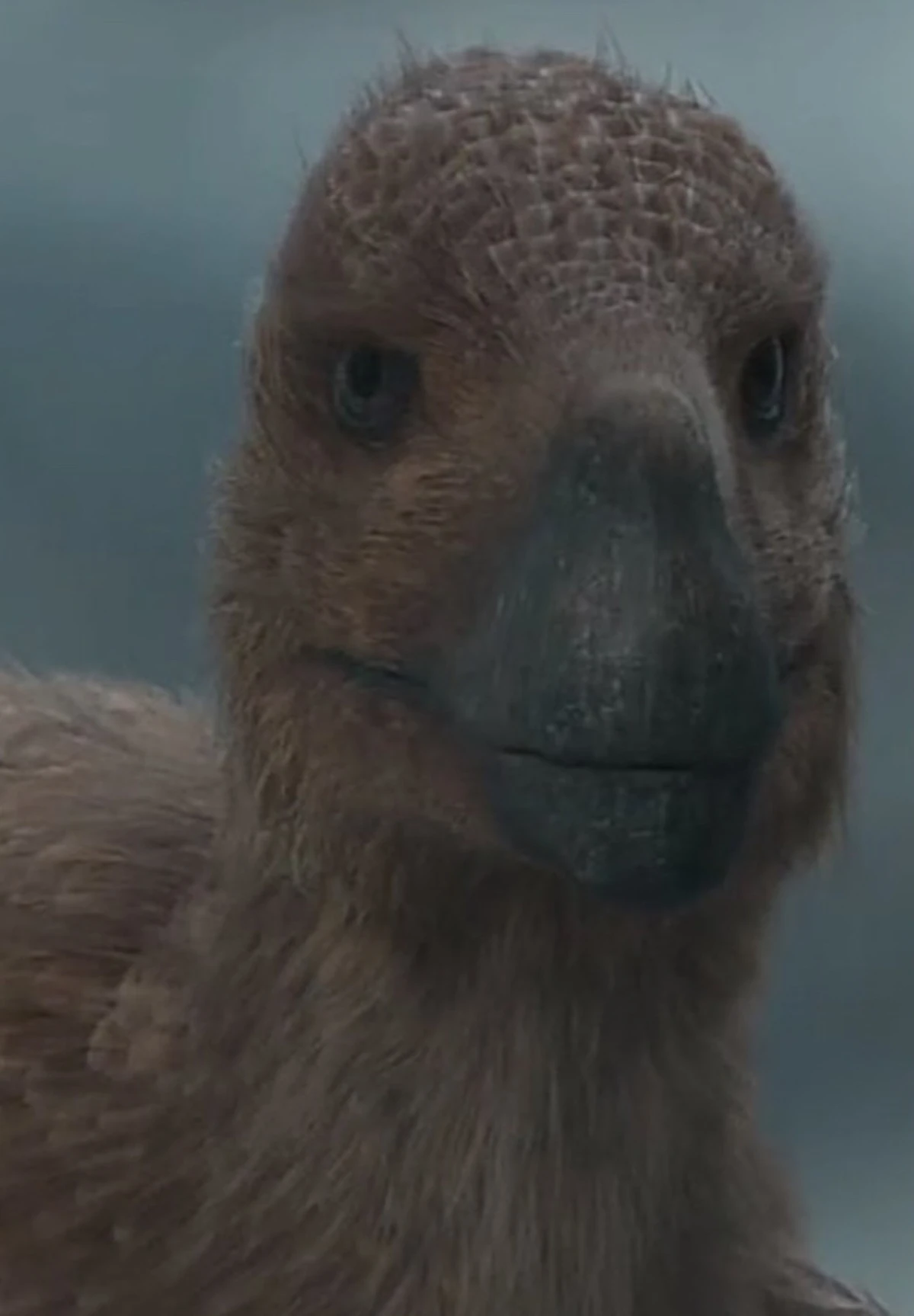 Atrociraptor | Prehistoric Planet Wiki | Fandom