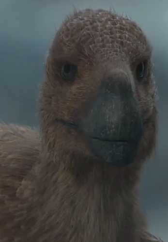 Atrociraptor | Prehistoric Planet Wiki | Fandom