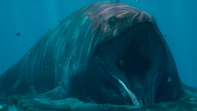 Mosasaurus | Prehistoric Planet Wiki | Fandom