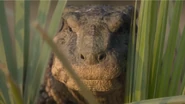 Simosuchus | Prehistoric Planet Wiki | Fandom