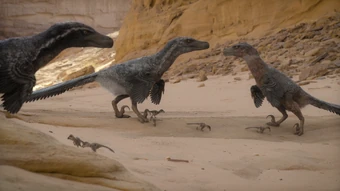 Velociraptor Dinosauria Saurischia Theropoda Tetanurae