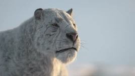 Homotherium | Prehistoric Planet Wiki | Fandom