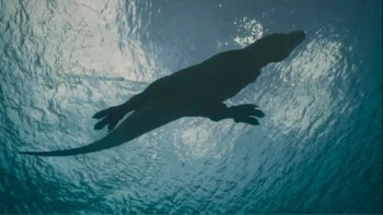 Coasts | Prehistoric Planet Wiki | Fandom