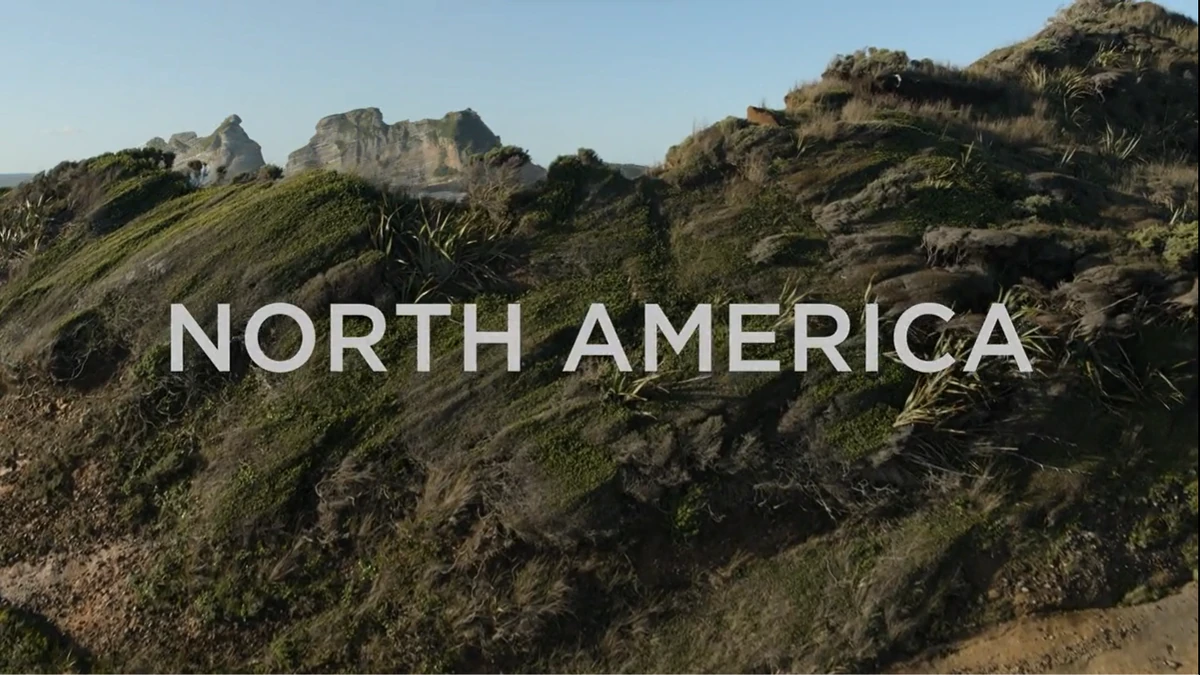 Category:North American Areas | Prehistoric Planet Wiki | Fandom