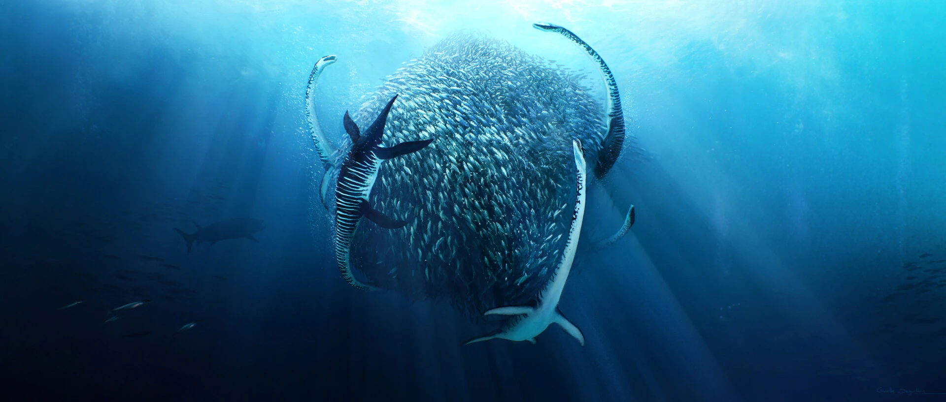 xiphactinus pronounce