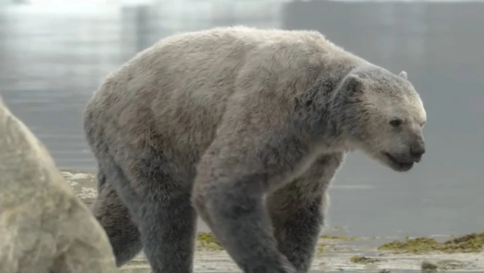 Arctodus | Prehistoric Planet Wiki | Fandom