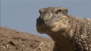 Simosuchus | Prehistoric Planet Wiki | Fandom