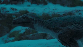 Dromaeosaurus | Prehistoric Planet Wiki | Fandom
