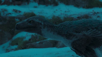 Dromaeosaurus | Prehistoric Planet Wiki | Fandom